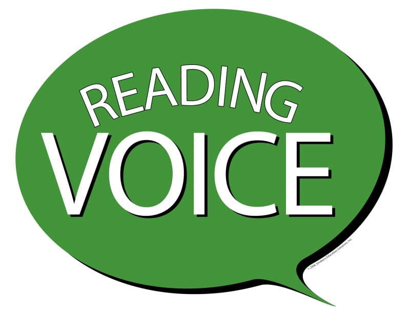 Introduce the Reading Voice and Thinking Voice